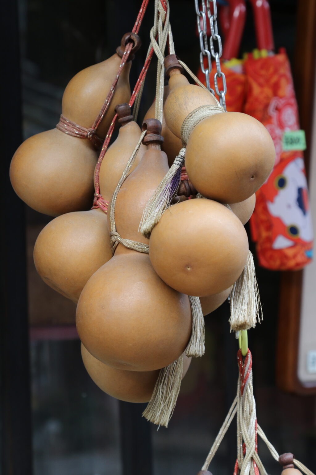 Why Gourds Hang in Old Japanese Towns | 日本の自然を一緒に辿る